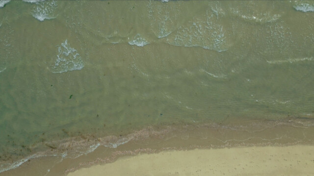 About Us | Wychmere Beach Club & Cape Cod Resort